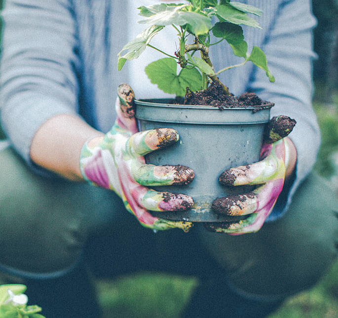 Become a Member of Mountain America Credit Union | MACU