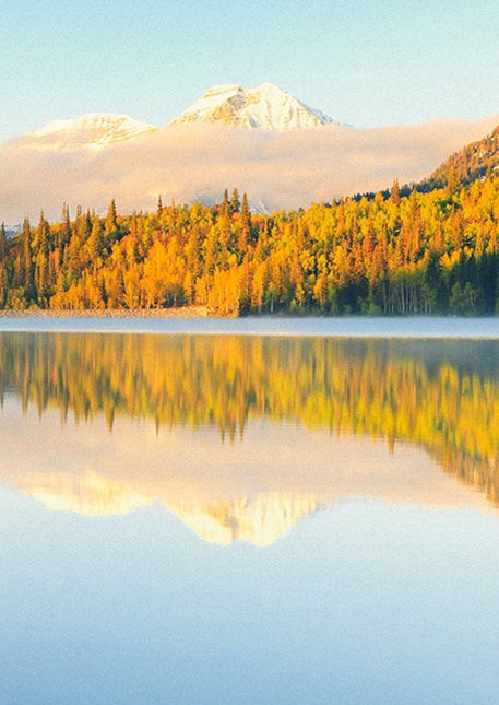 Visa Debit Card with MyExpress Account | MACU