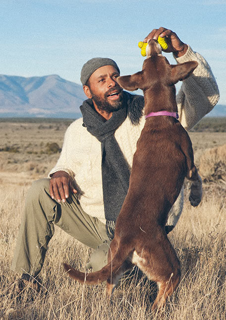 Visa Low Rate Credit Card | MACU