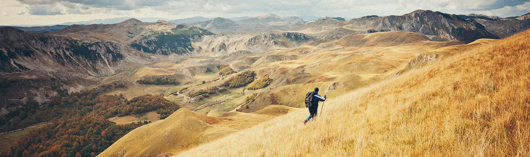 Investments - Wealth Management Services | MACU