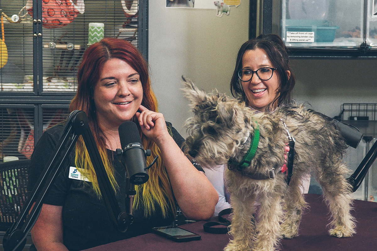 The Humane Society of Utah Talks Pet Ownership | Guiding You Forward | MACU